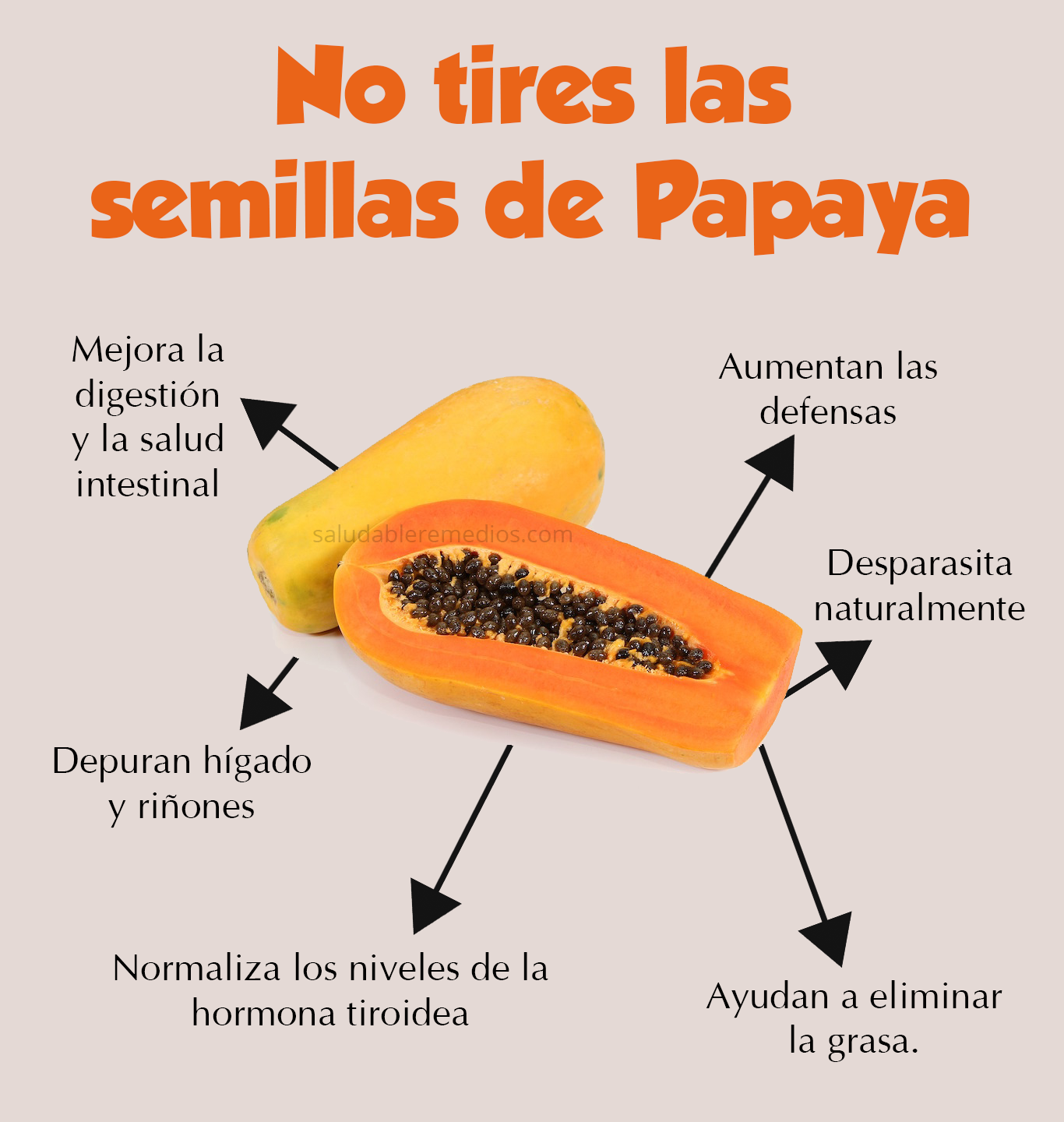 Té de semillas de papaya: cuáles son sus beneficios y cómo prepararlo ...